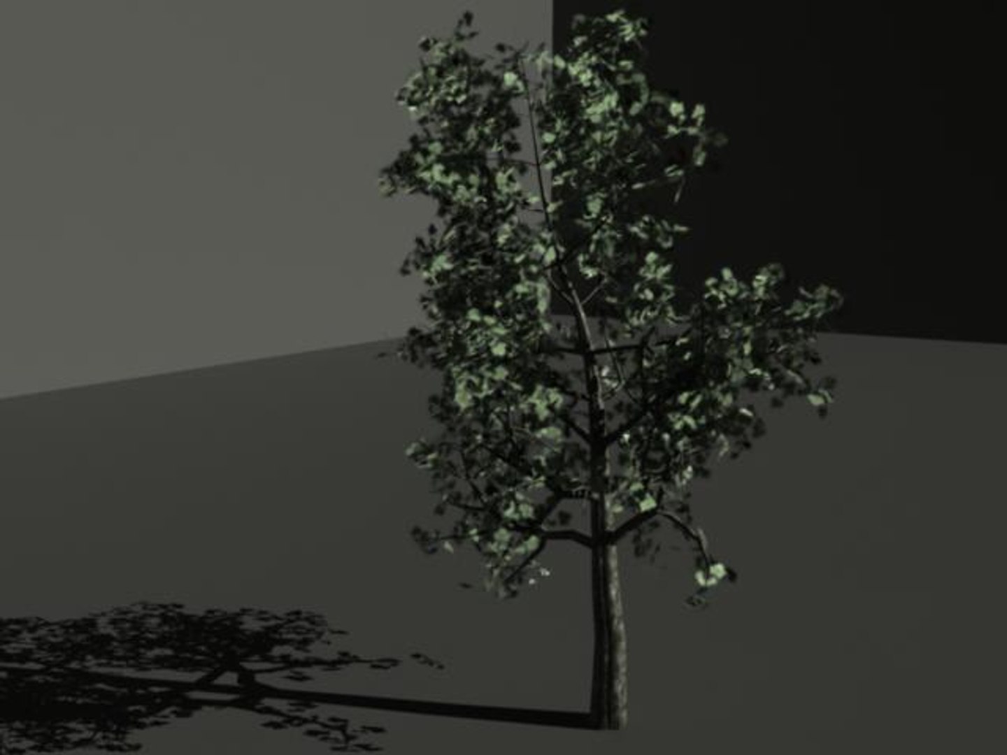 Tree 3d Fbx