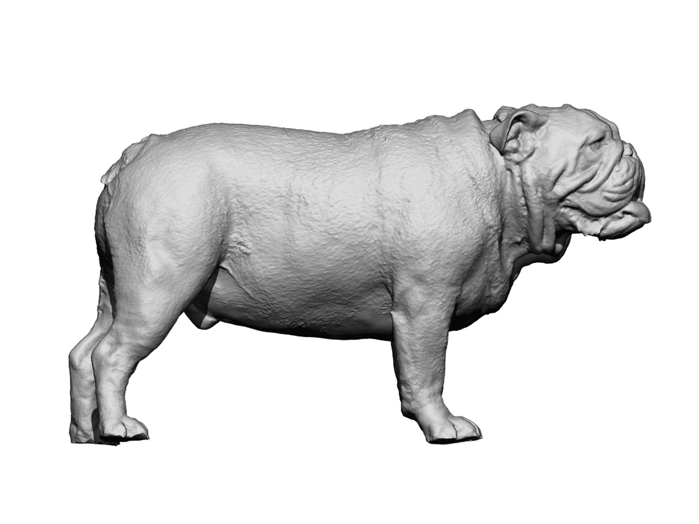 Dog Scanned Photogrammetry 3D Model - TurboSquid 1349193