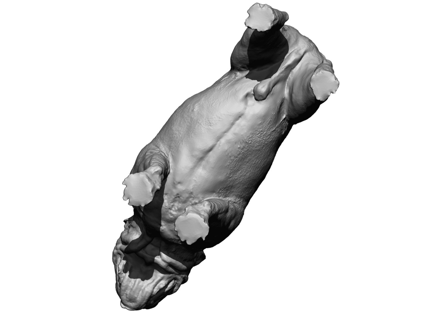 Dog Scanned Photogrammetry 3D Model - TurboSquid 1349193