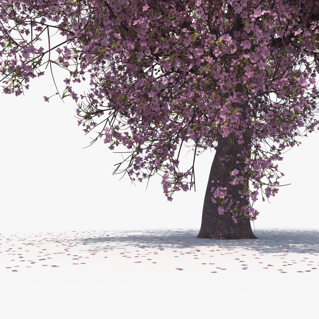 Blossom Tree 04 3D Model - TurboSquid 1220757