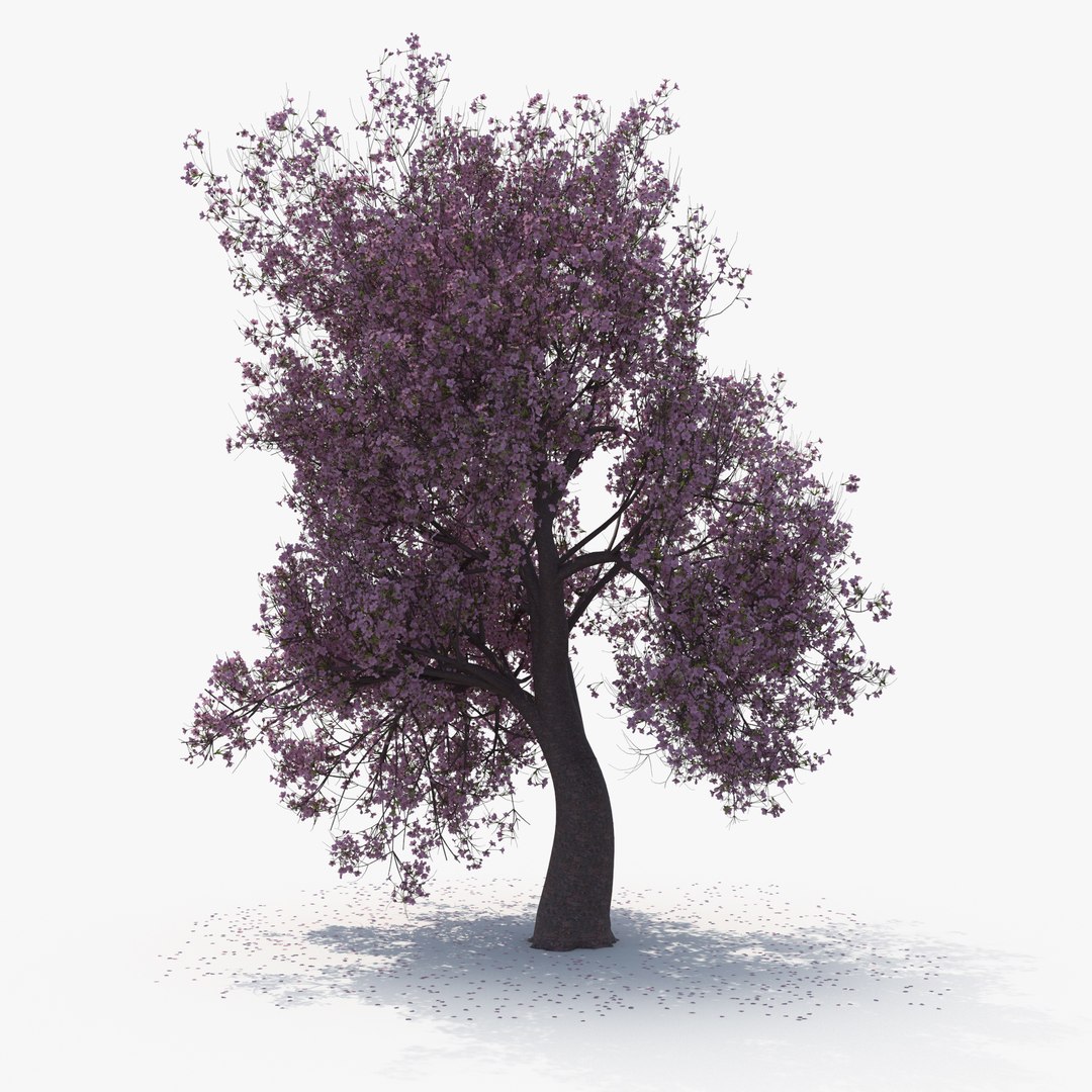 Blossom Tree 04 3D Model - TurboSquid 1220757