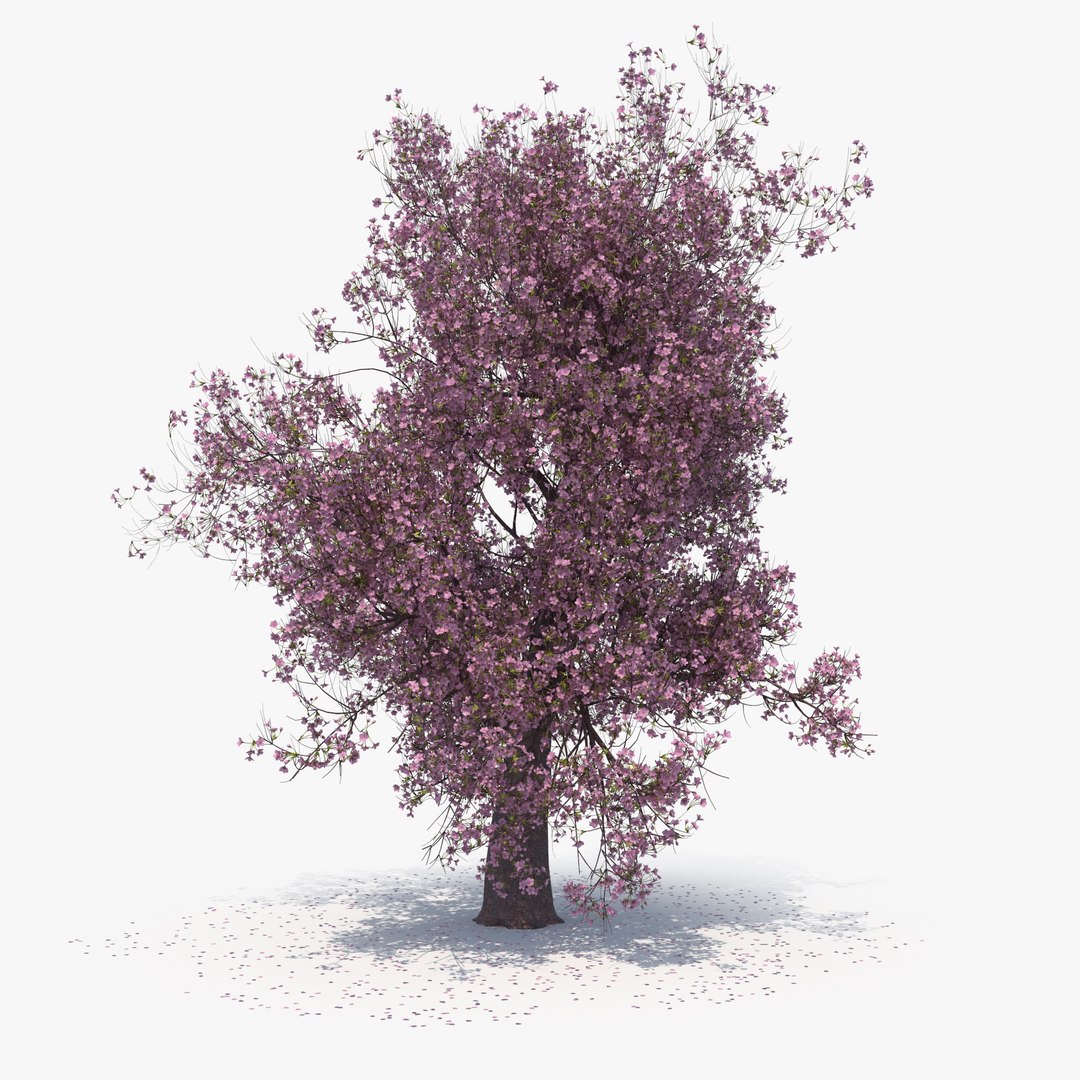 Blossom Tree 04 3D Model - TurboSquid 1220757