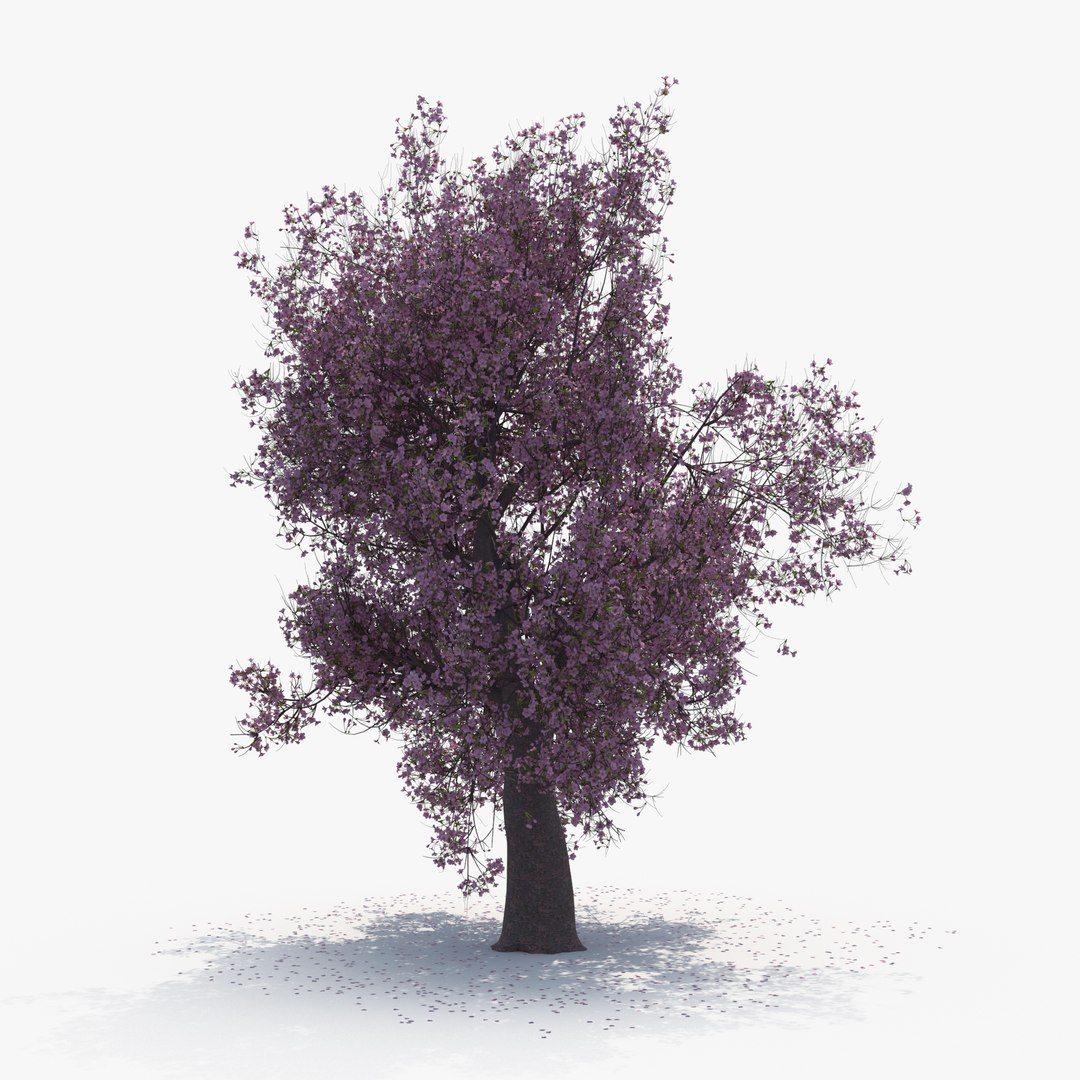 Blossom Tree 04 3D Model - TurboSquid 1220757