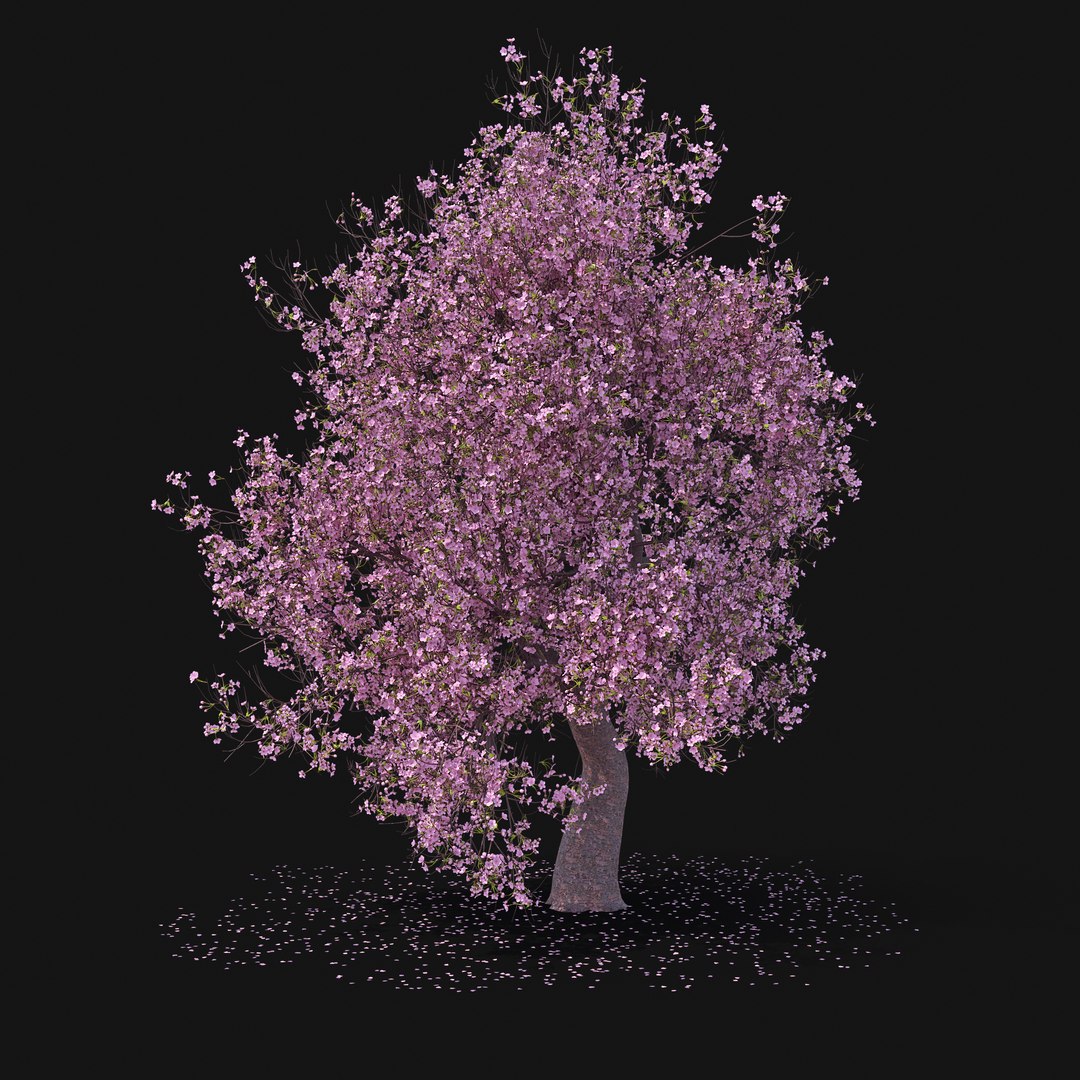 Blossom Tree 04 3D Model - TurboSquid 1220757