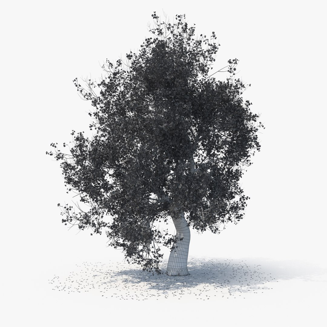 Blossom Tree 04 3D Model - TurboSquid 1220757