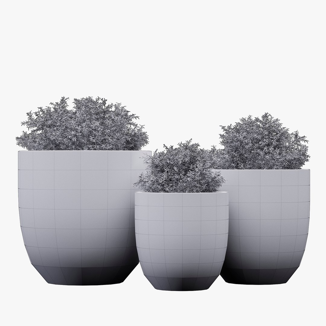 design royal pot 3d model