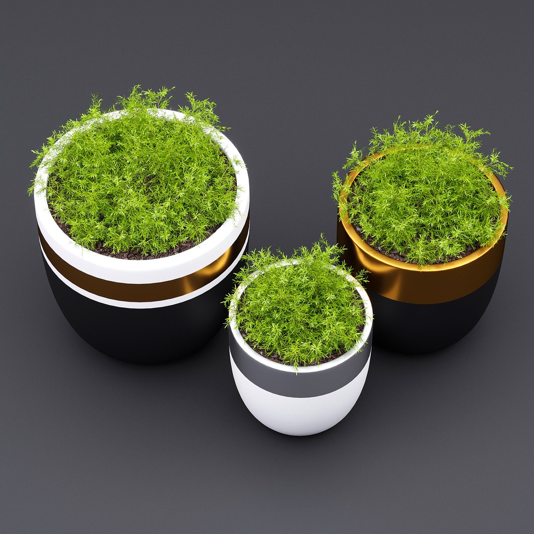 design royal pot 3d model
