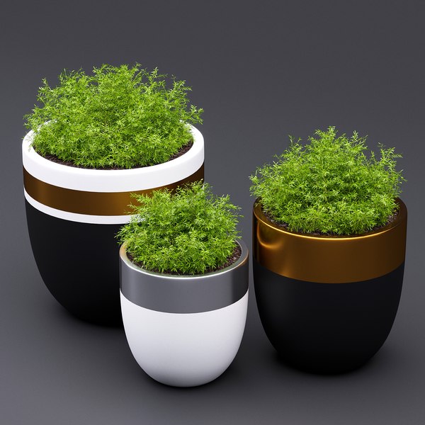design royal pot 3d model