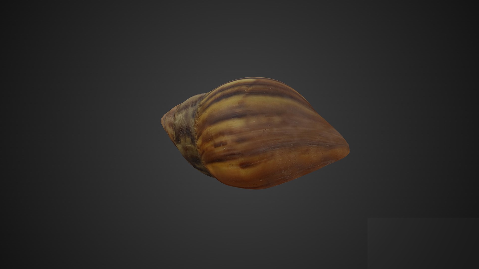 3D Model Game Ready Snail - TurboSquid 2077776