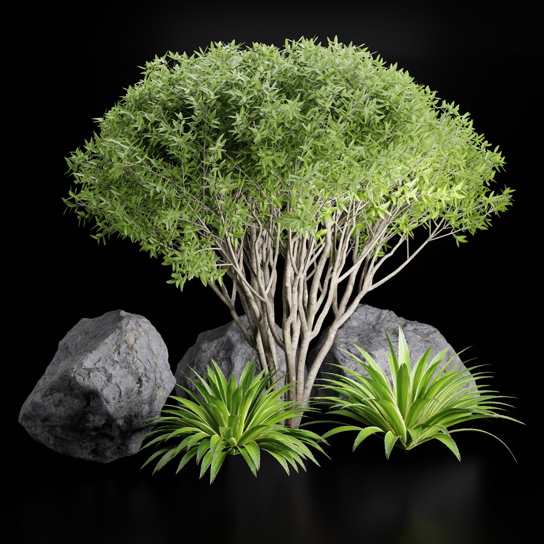 Indoor Garden With Plants Collection Vol 194-Blender-3dmodel Model ...