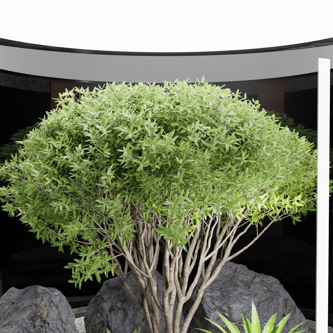 Indoor Garden With Plants Collection Vol 194-Blender-3dmodel Model ...