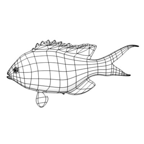 tropical fish 3d model