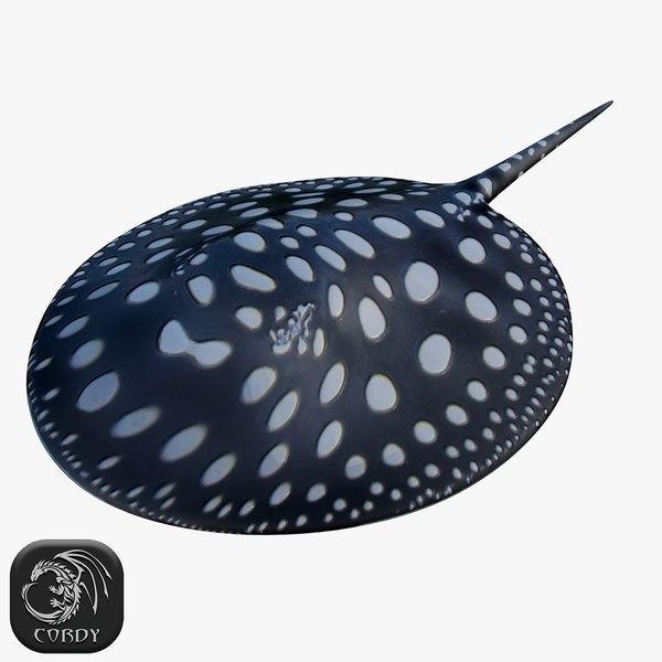 modelo 3d Raya del río - TurboSquid 1252403