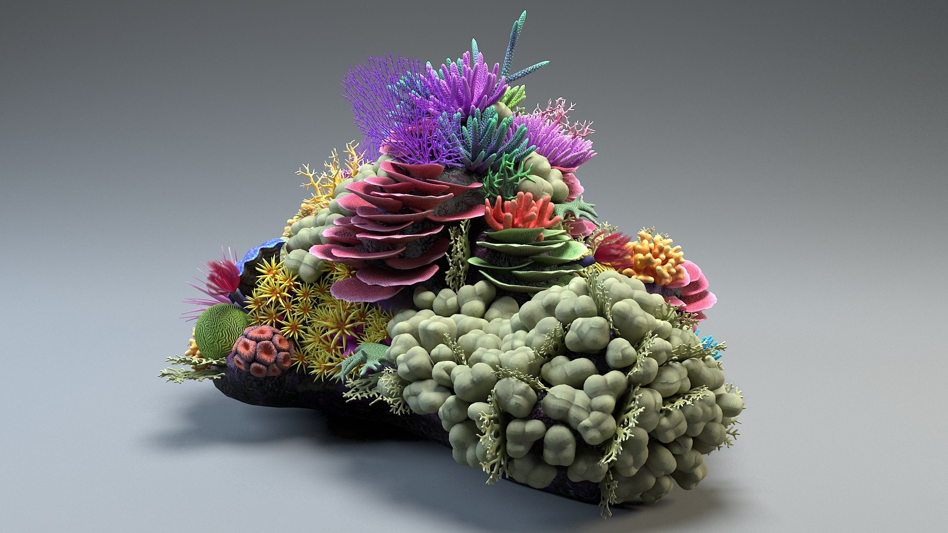 Coral reef 01 3D - TurboSquid 1486307