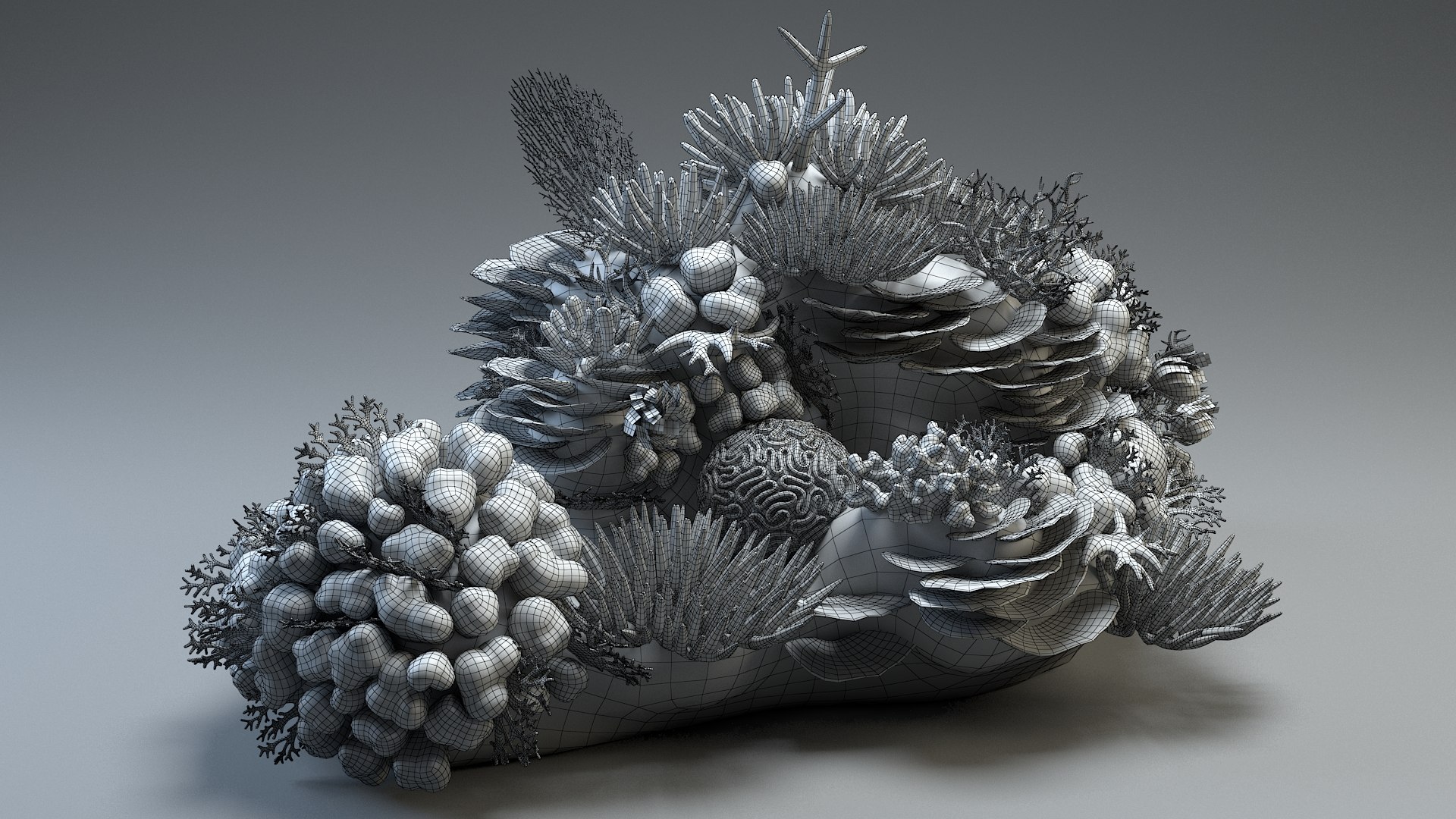 Coral reef 01 3D - TurboSquid 1486307