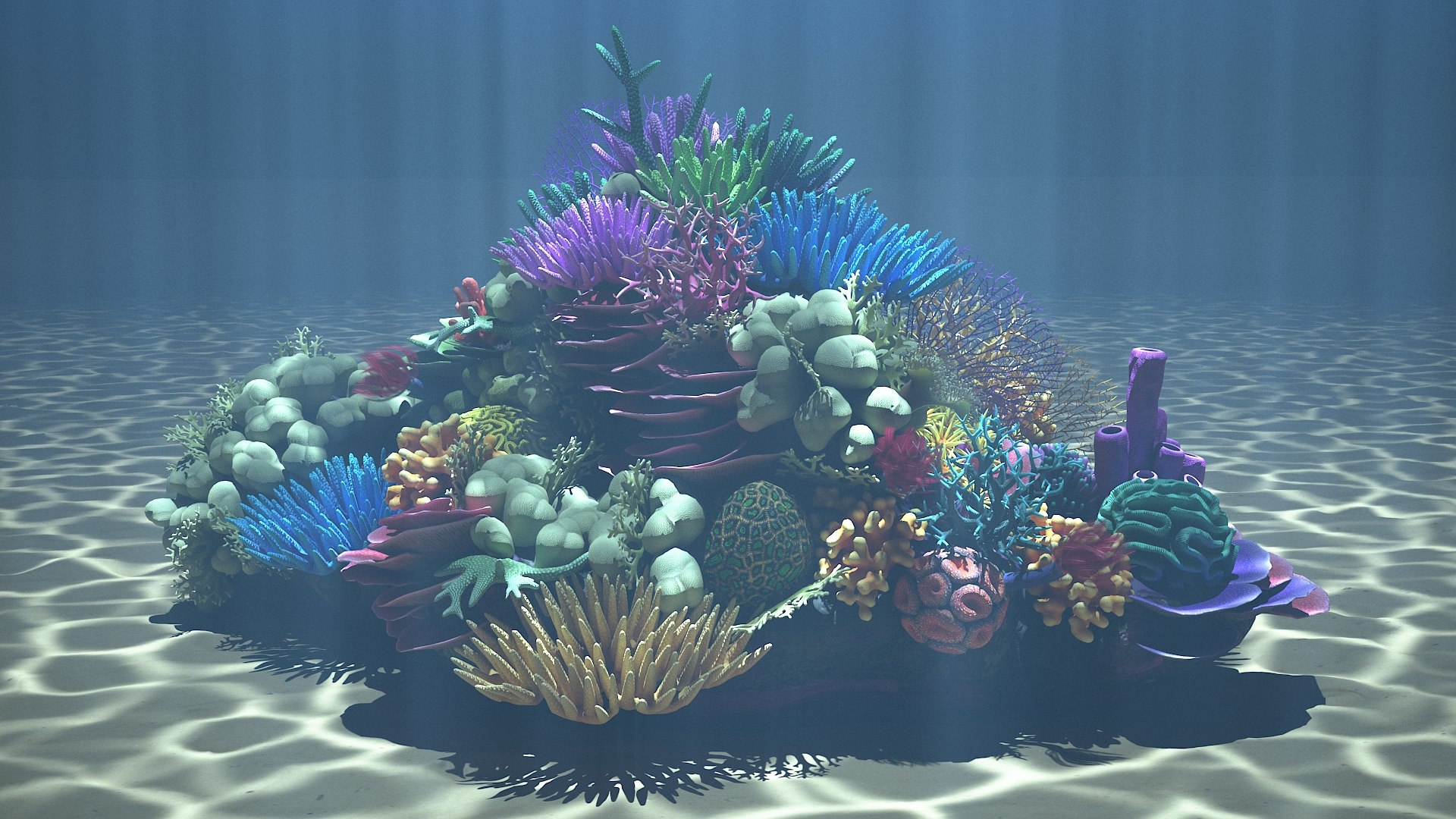 Coral Reef 01 3D - TurboSquid 1486307