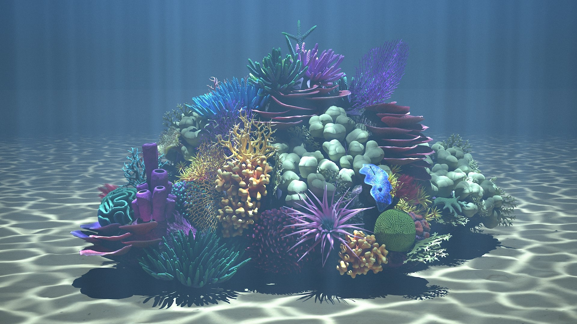 Coral reef 01 3D - TurboSquid 1486307