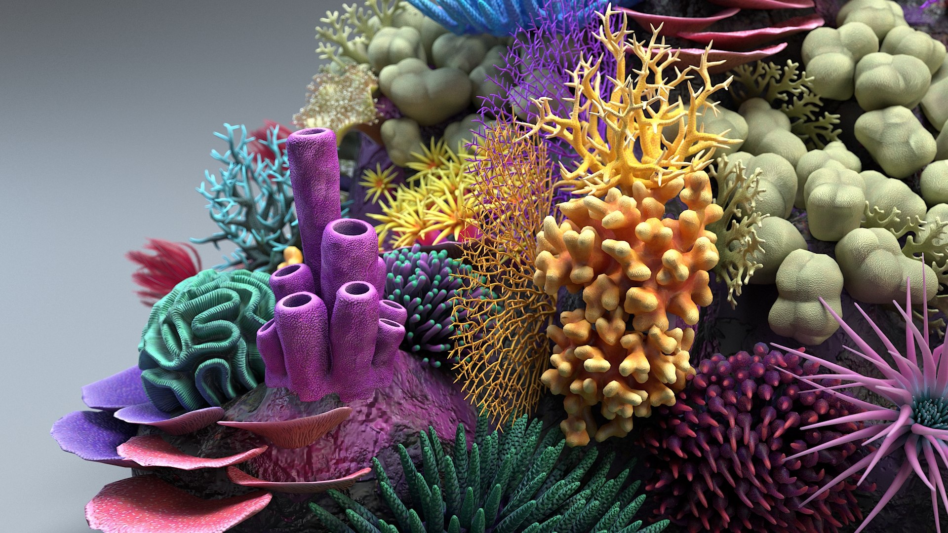 Coral reef 01 3D - TurboSquid 1486307