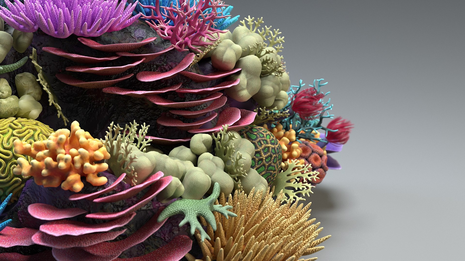 Coral reef 01 3D - TurboSquid 1486307