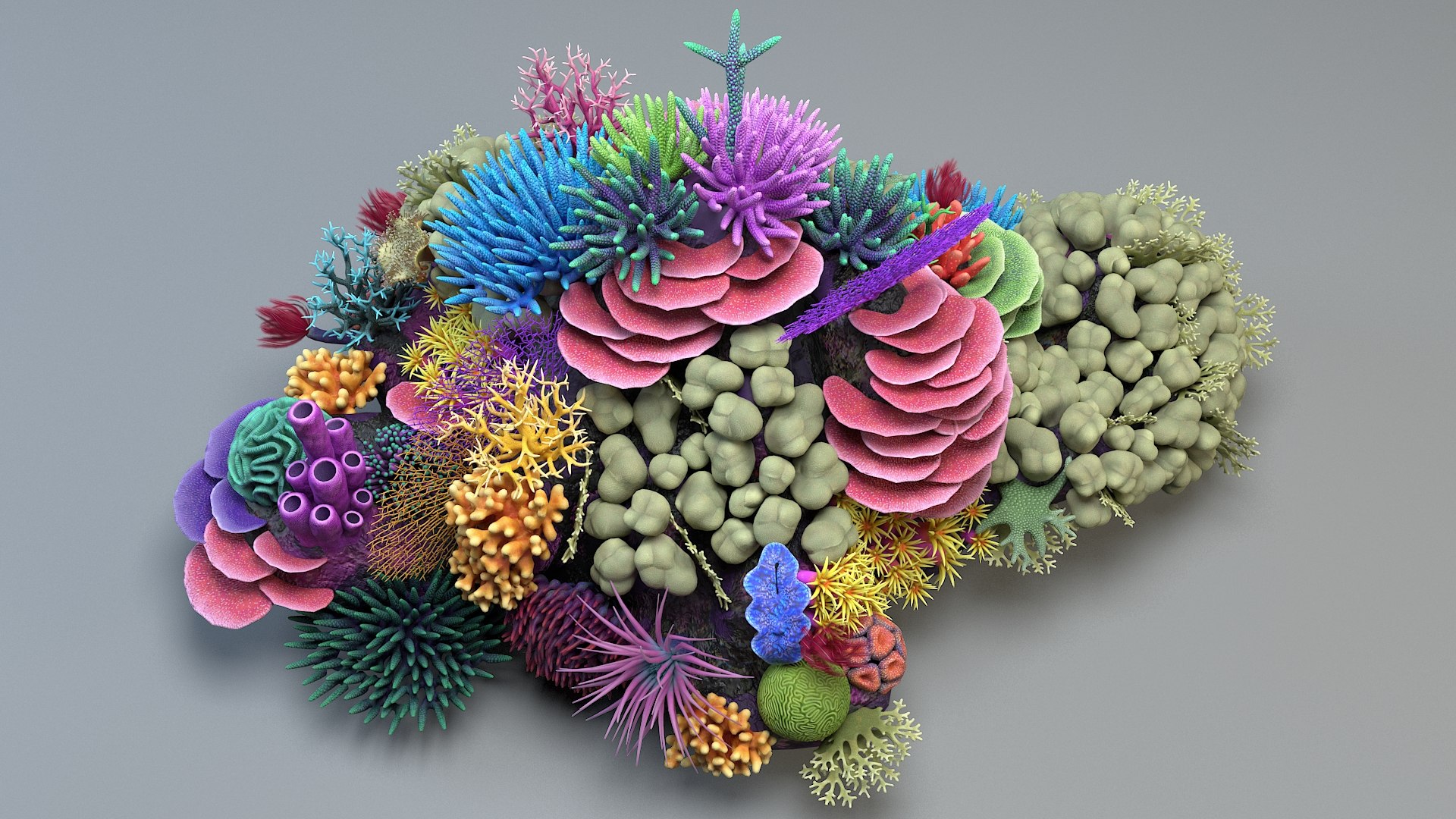 Coral reef 01 3D - TurboSquid 1486307