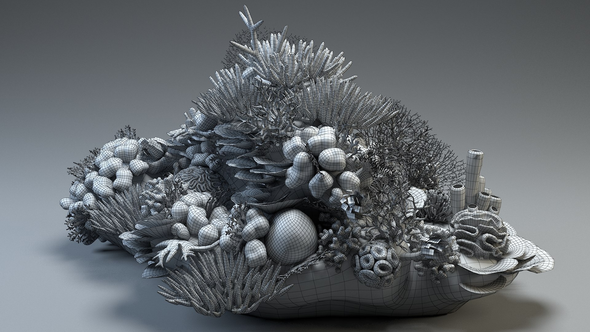 Coral reef 01 3D - TurboSquid 1486307