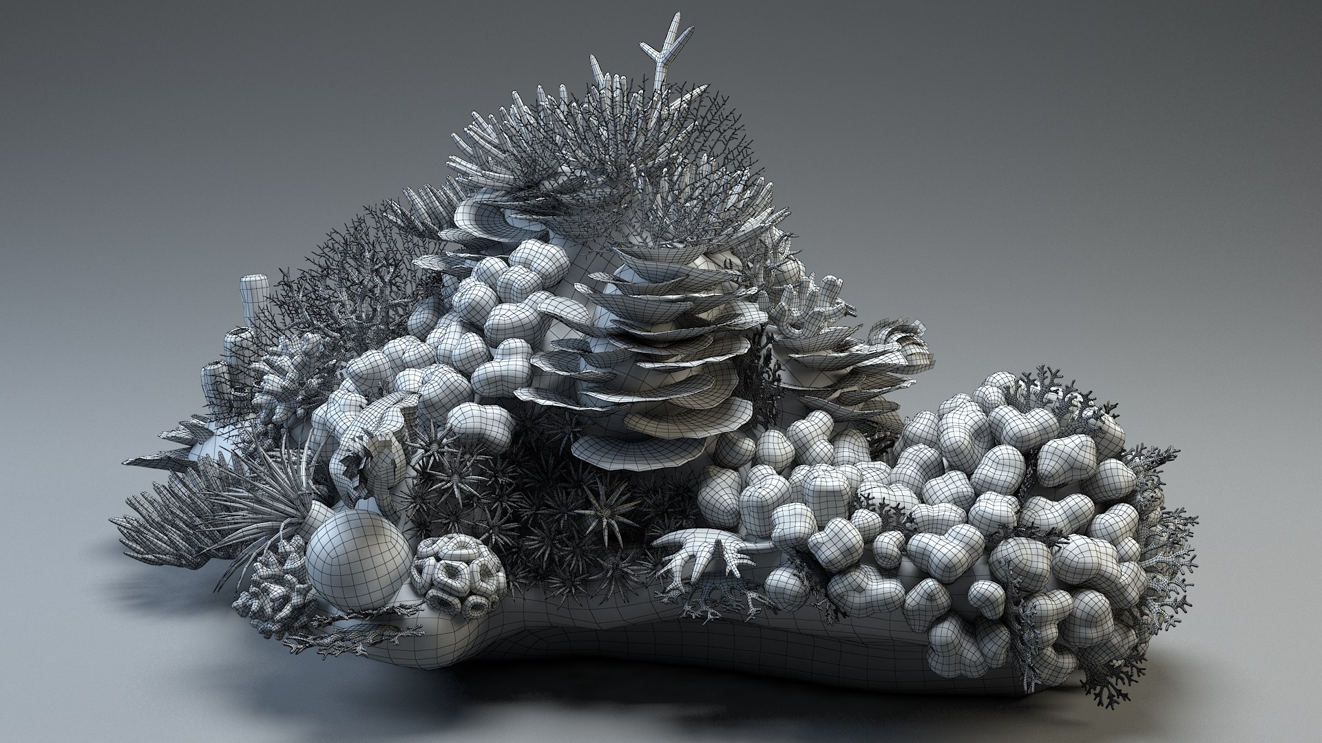 Coral reef 01 3D - TurboSquid 1486307