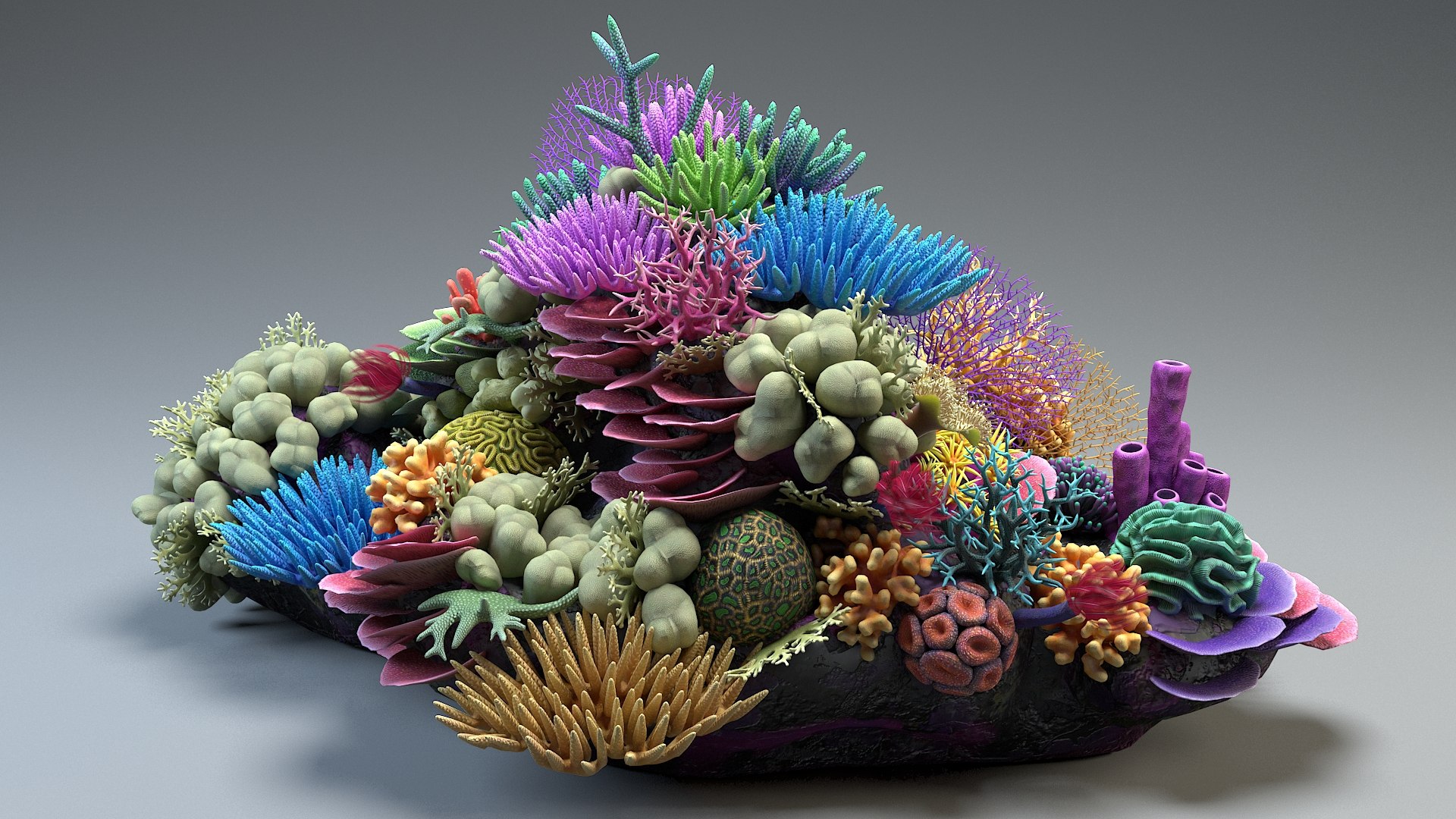 Coral reef 01 3D - TurboSquid 1486307