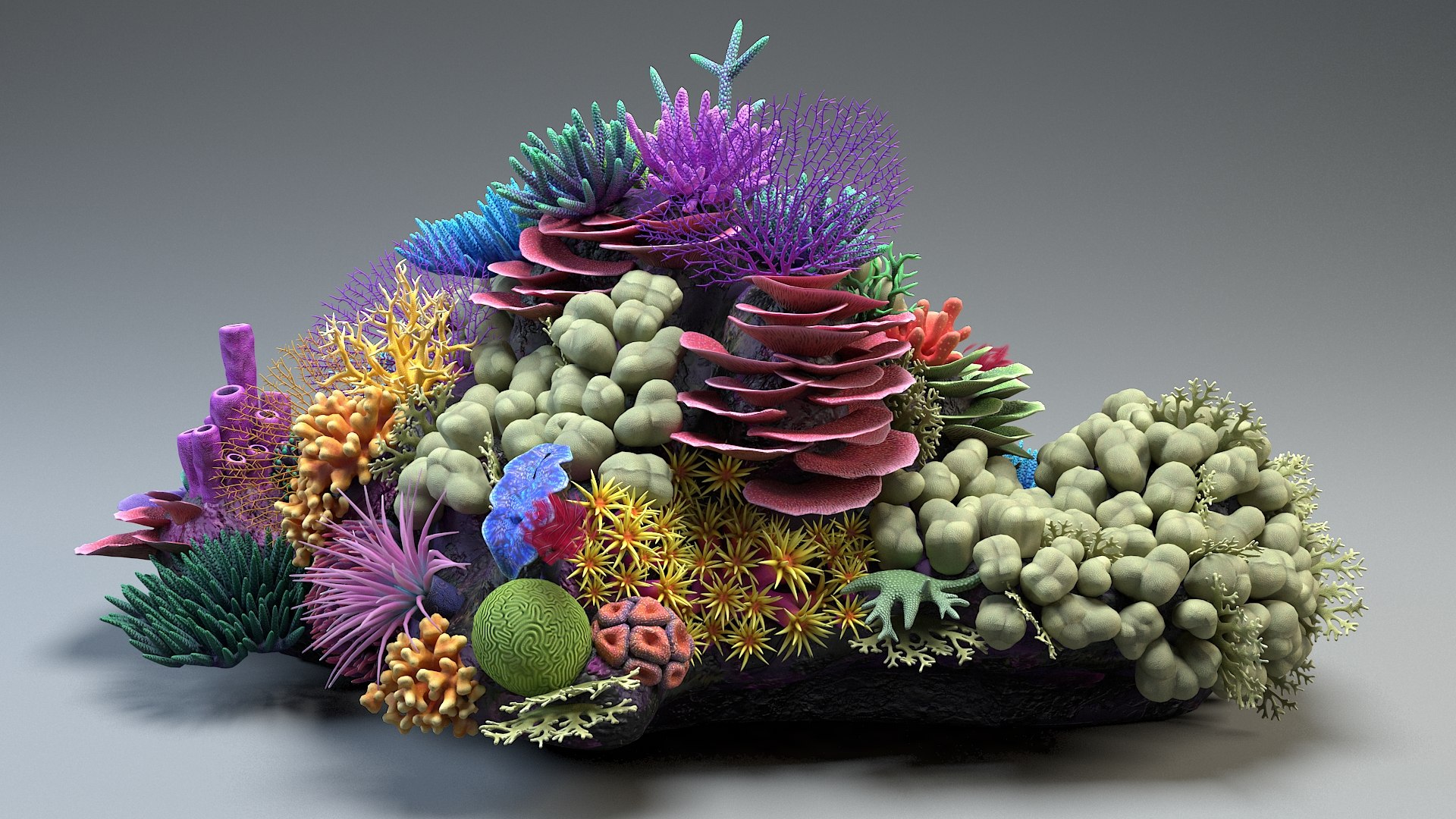 Coral reef 01 3D - TurboSquid 1486307