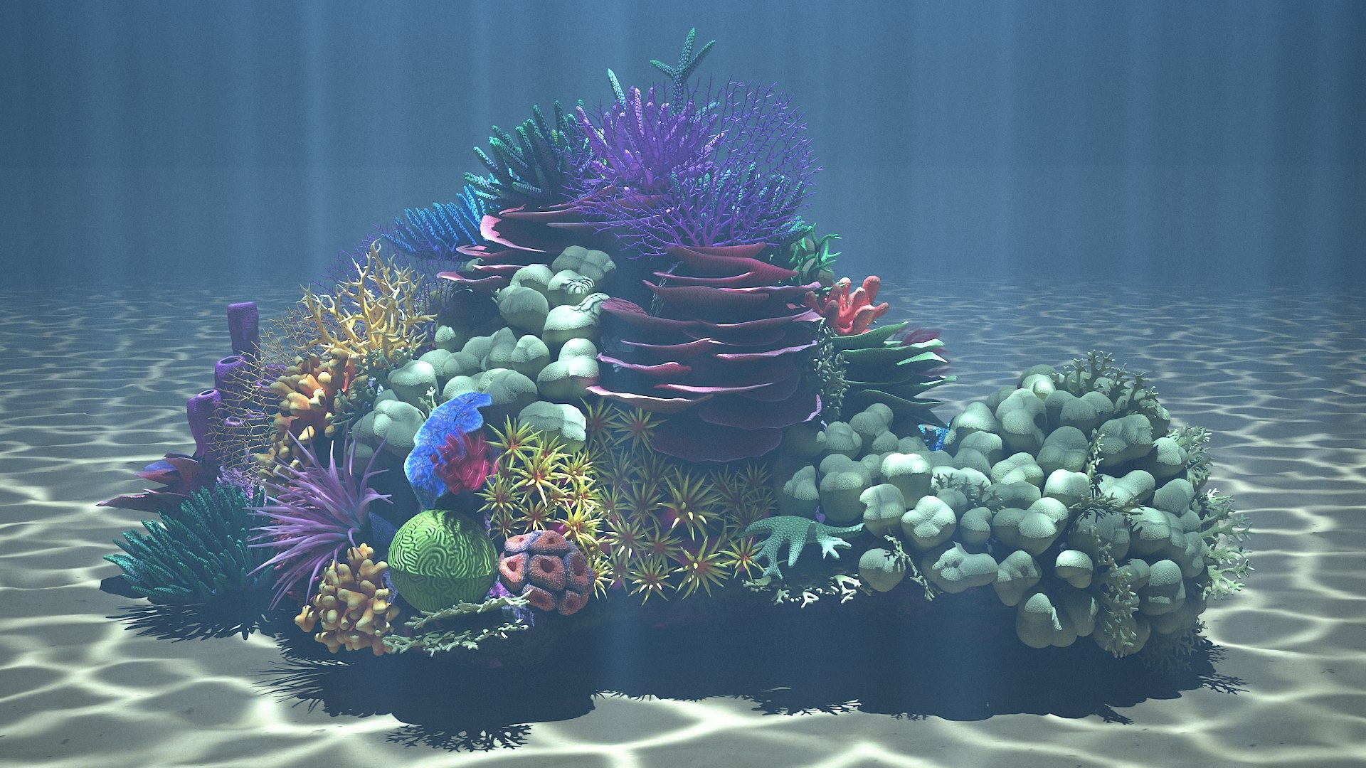 Coral reef 01 3D - TurboSquid 1486307