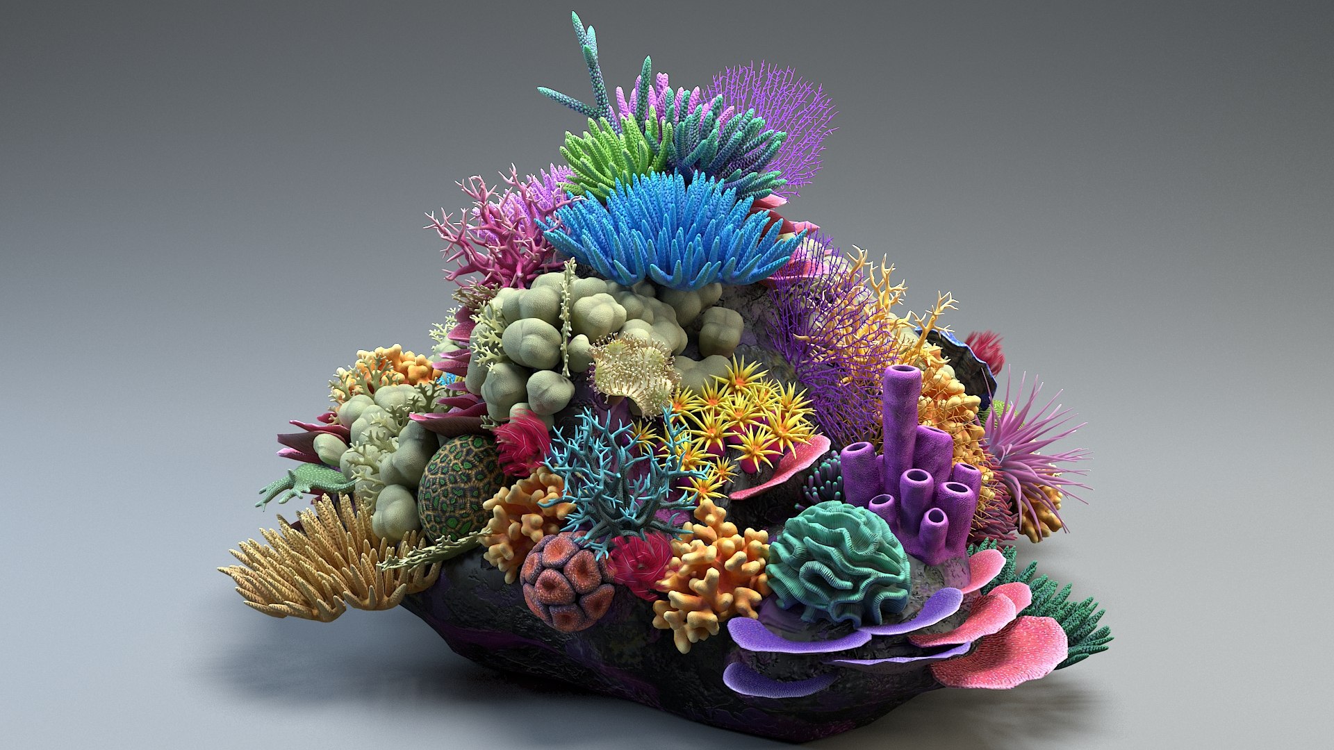 Coral reef 01 3D - TurboSquid 1486307