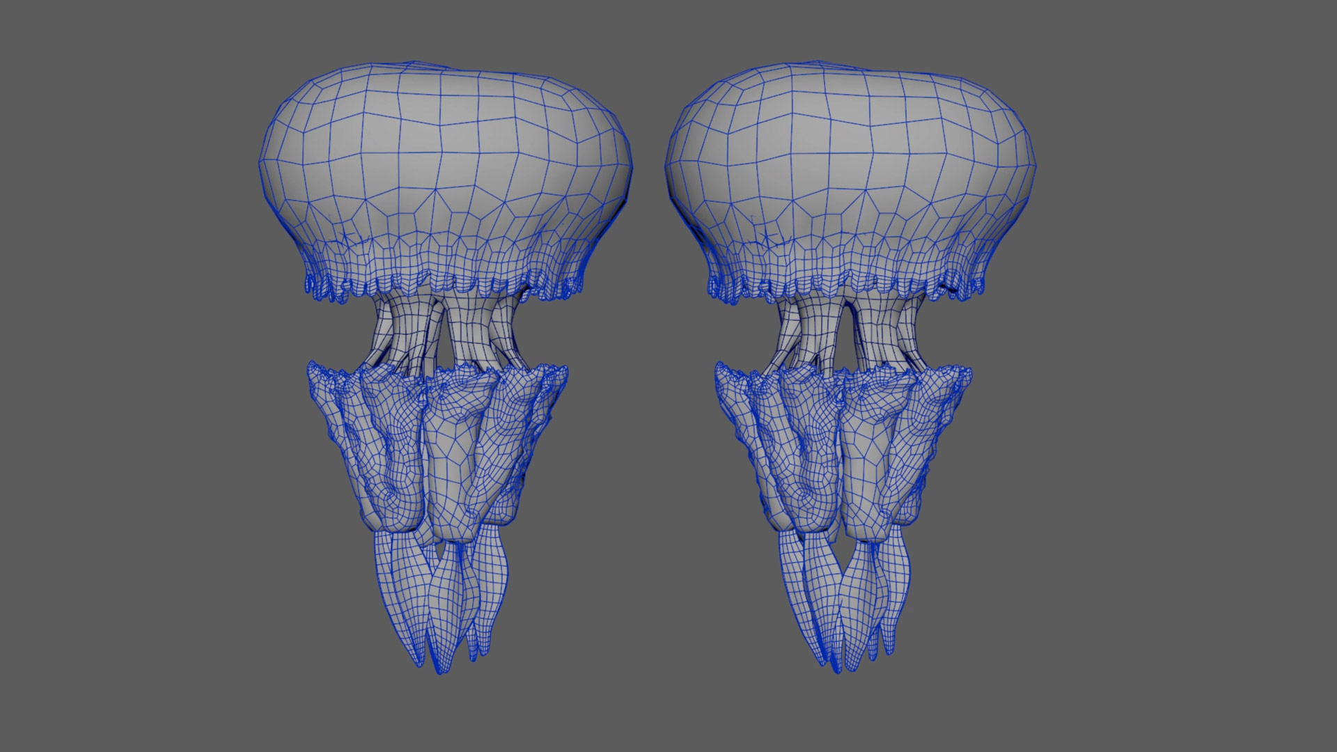 Jellyfish Pack 5 3D - TurboSquid 2262789