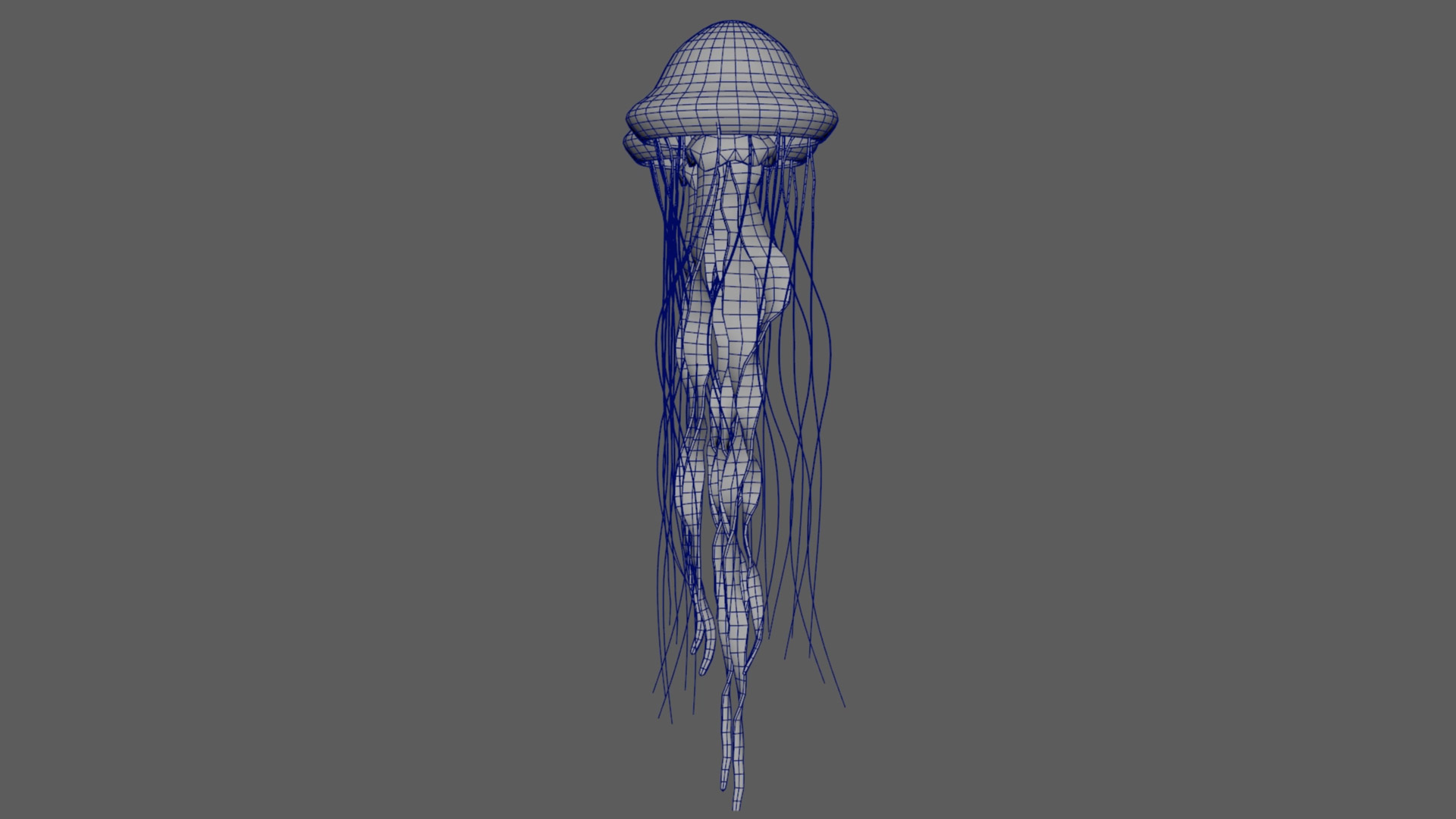 Jellyfish Pack 5 3D - TurboSquid 2262789