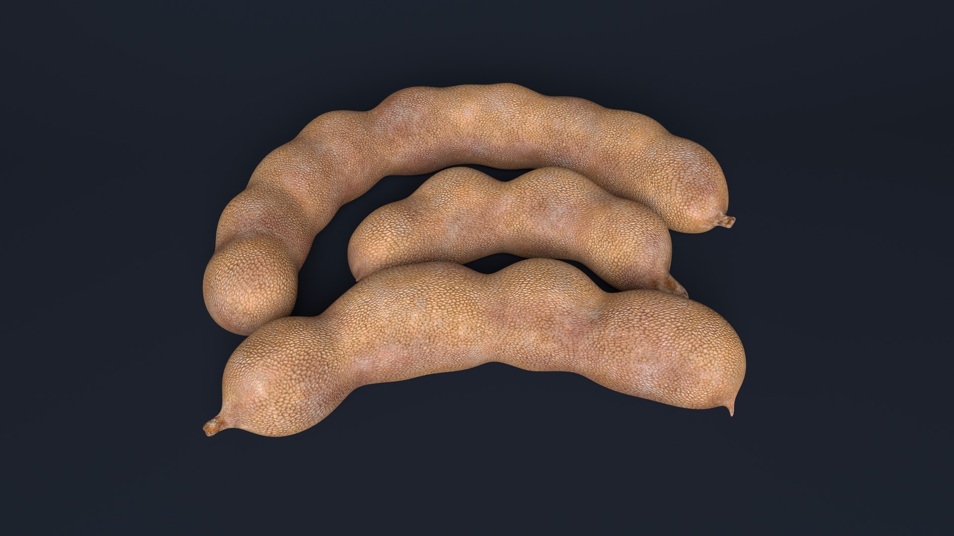 3D Whole Tamarind Tropical Fruits - TurboSquid 2120467
