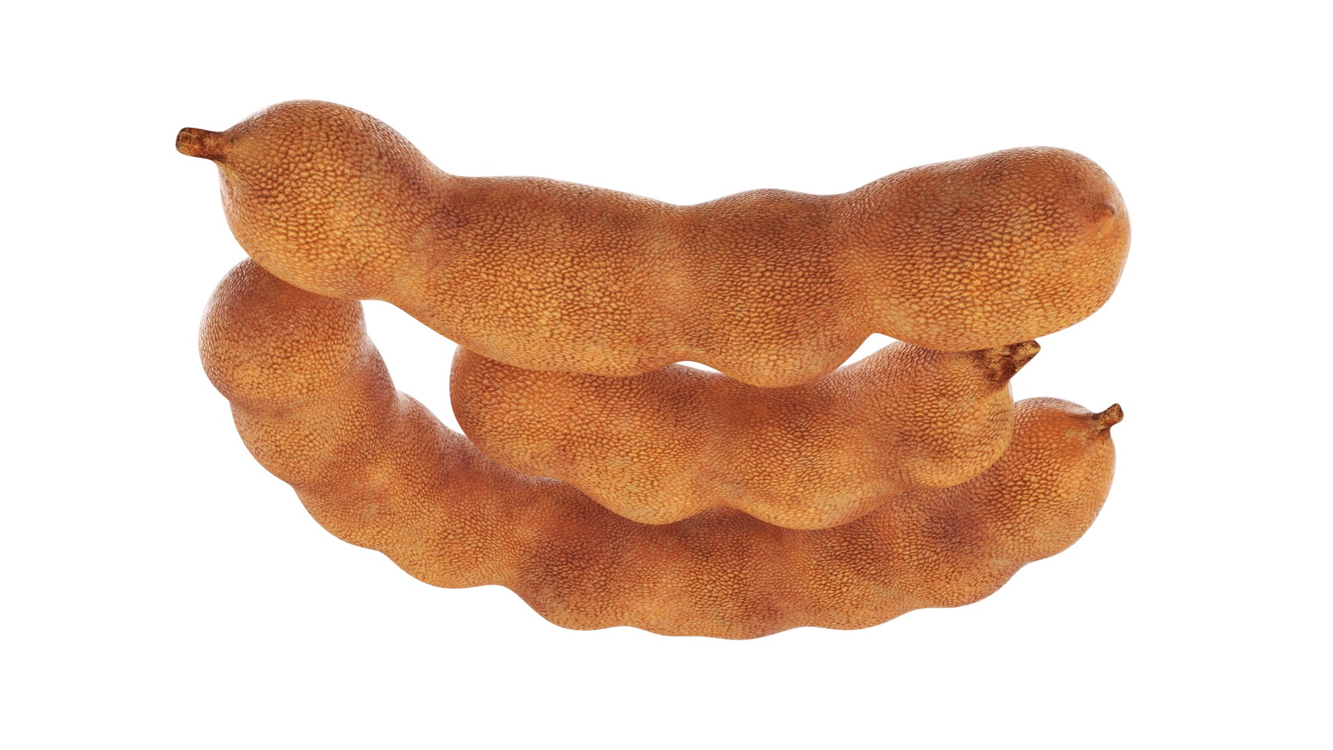 3D Whole Tamarind Tropical Fruits - TurboSquid 2120467