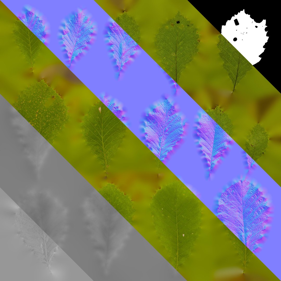 Anydrafts Quercus Aliena Acutiserrata Leaves Textures Pack 3D Model ...