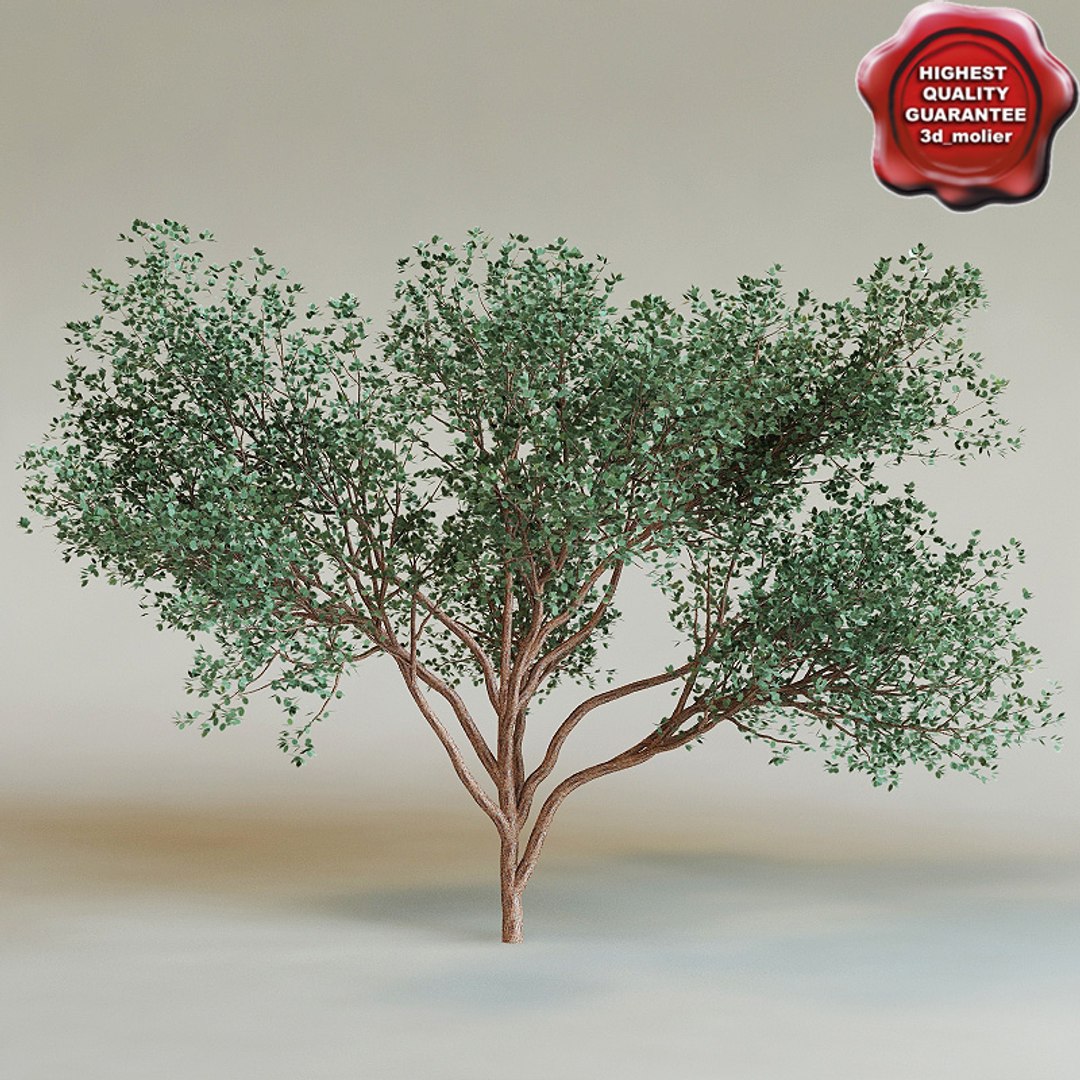 Trees Vol4 3d Model