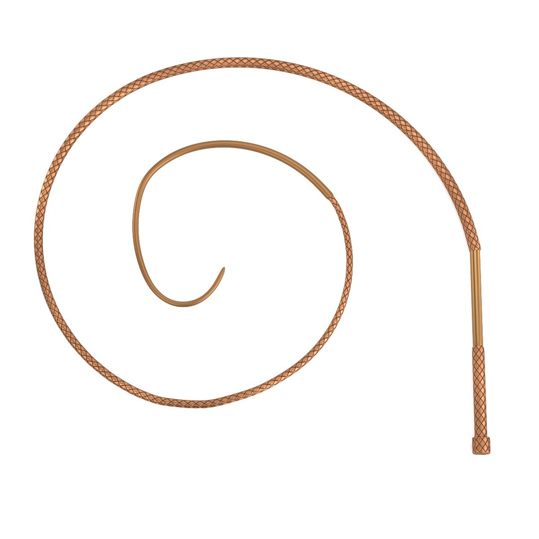 Whip 3d Model