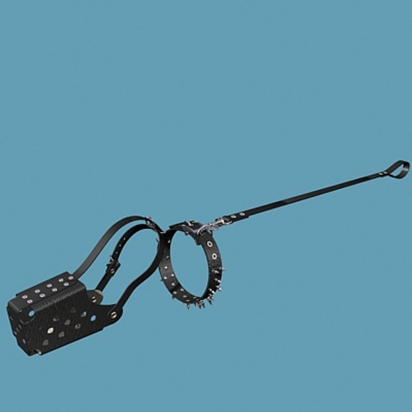 Leash 3D Models for Download | TurboSquid