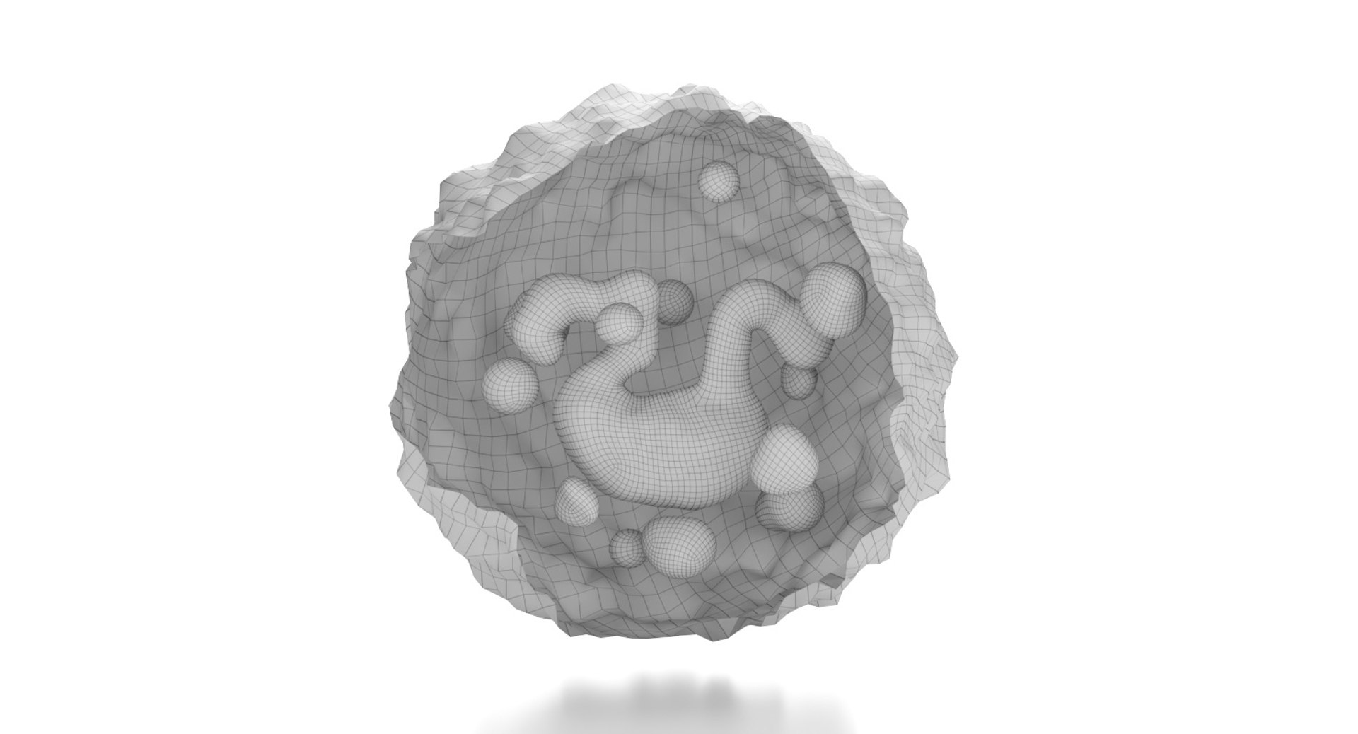 3D Model Basophil - TurboSquid 1317390