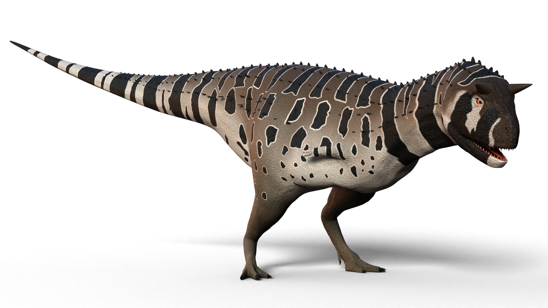 3D Carnotaurus Sastrei - TurboSquid 1568954