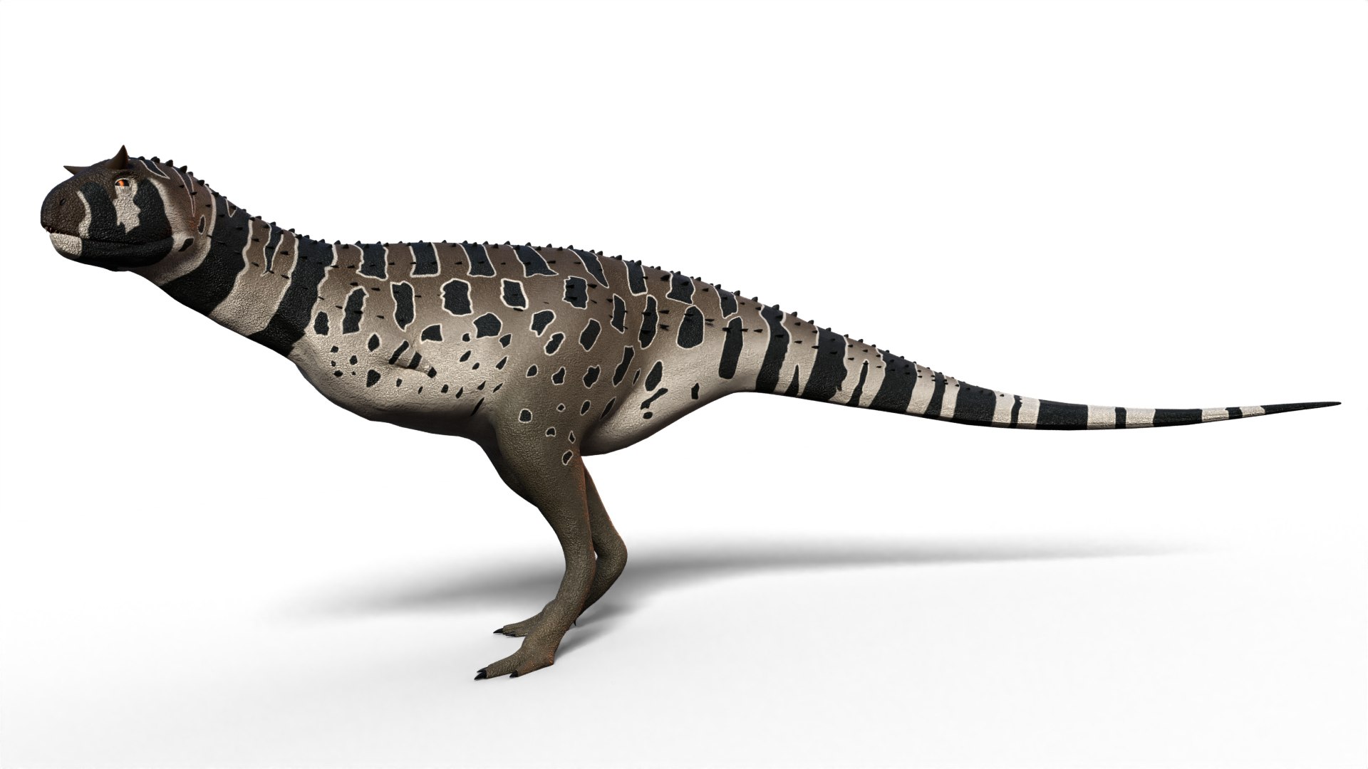 3D Carnotaurus Sastrei - TurboSquid 1568954
