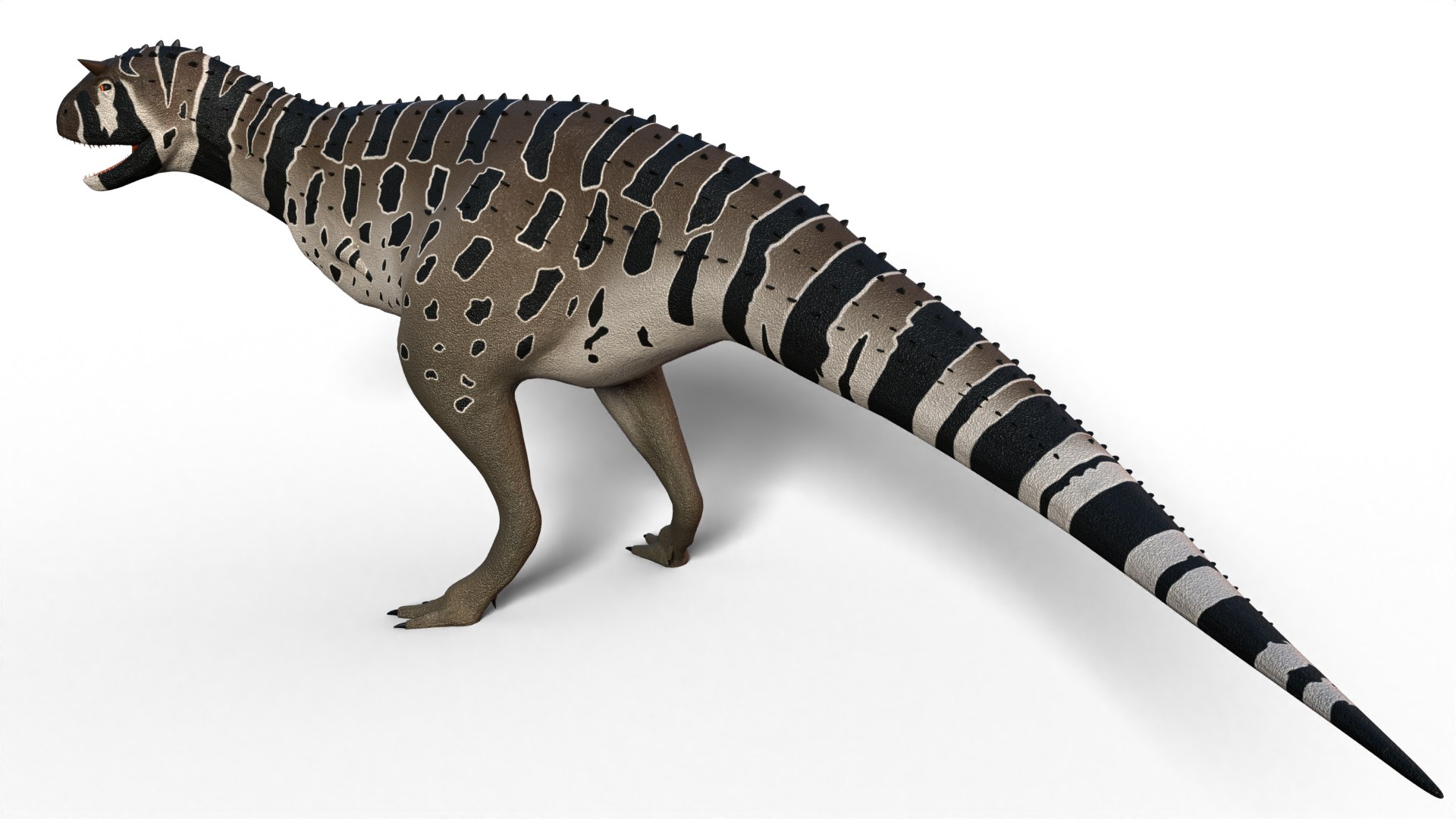 3D Carnotaurus Sastrei - TurboSquid 1568954