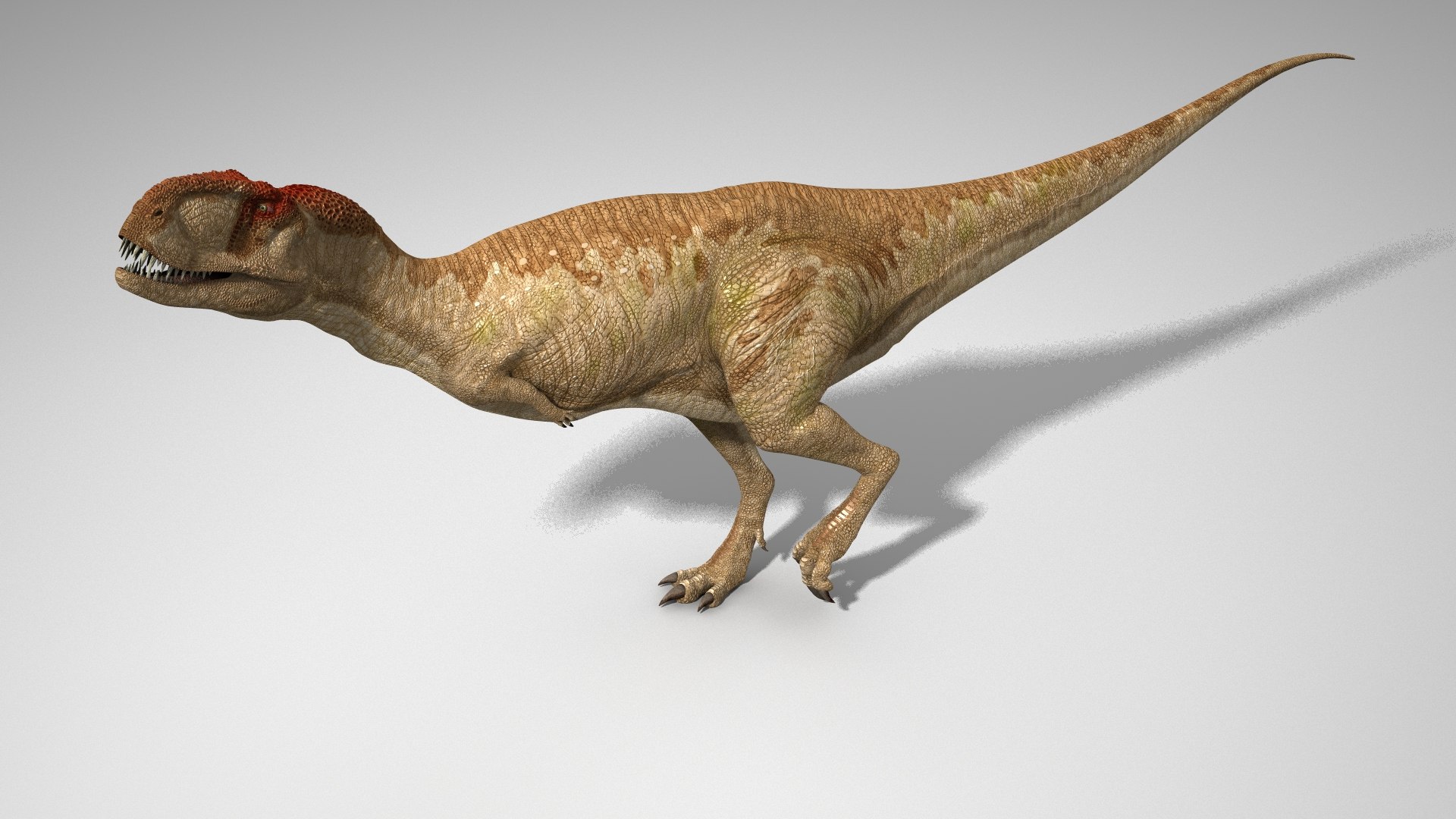 3D Abelisaurus - TurboSquid 1821863