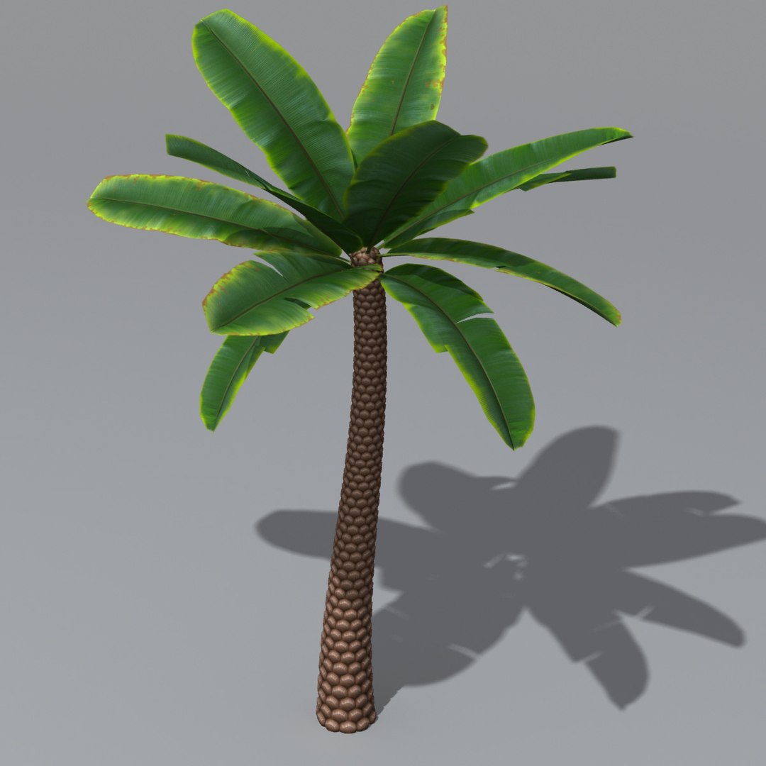 3d Model Palm Tree