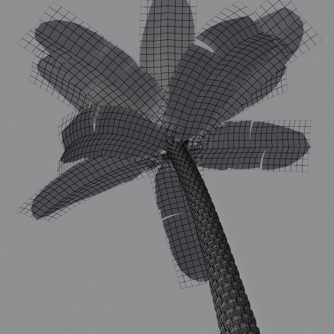 3d Model Palm Tree