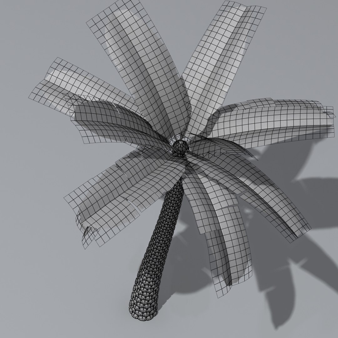 3d Model Palm Tree