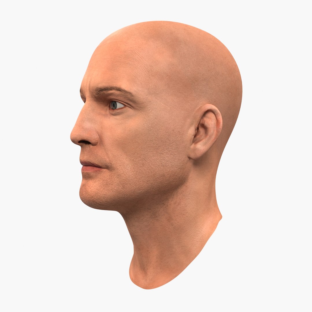3d Model Male Head 6