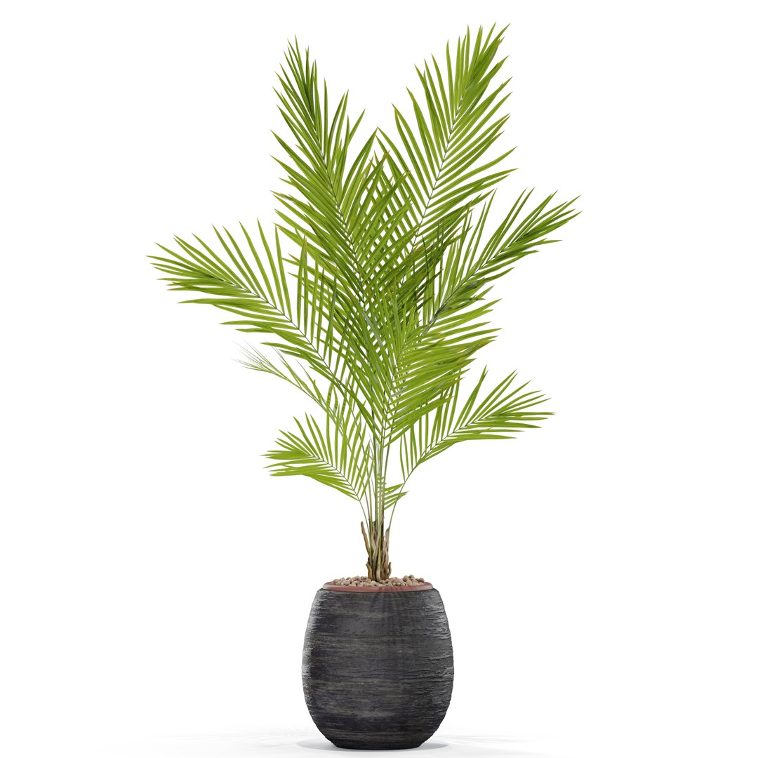 3D Plants Collection 568 - TurboSquid 1860156