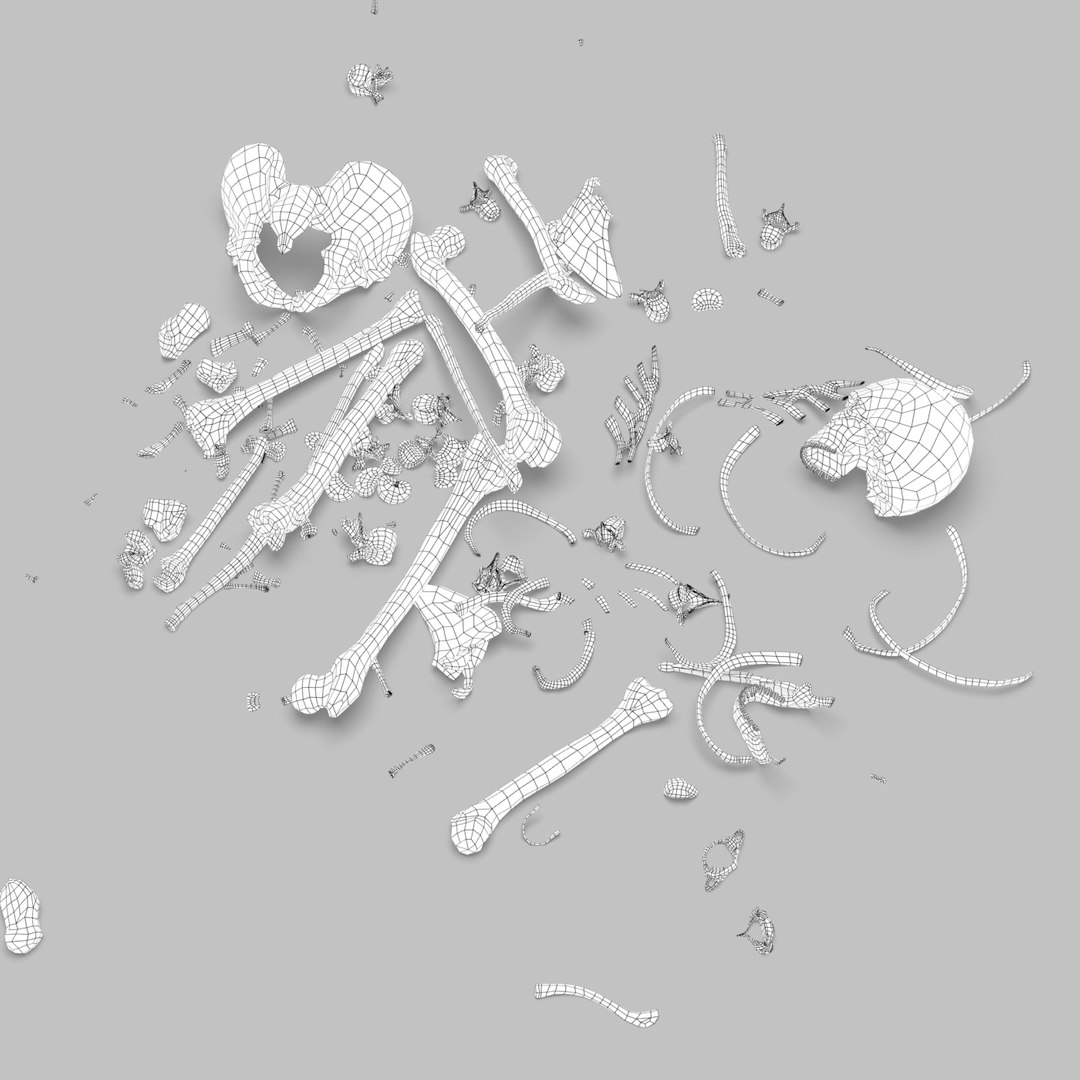 3D Destroyed Skeleton - TurboSquid 1209019