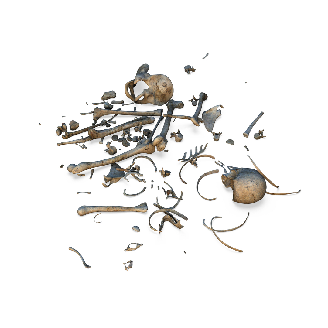 3D Destroyed Skeleton - TurboSquid 1209019